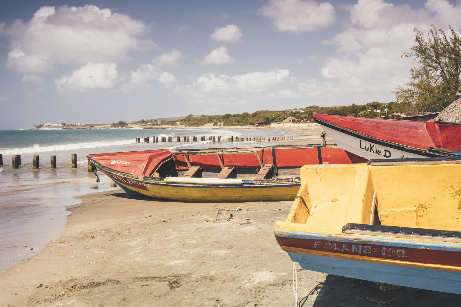 Our Team - Solimar International